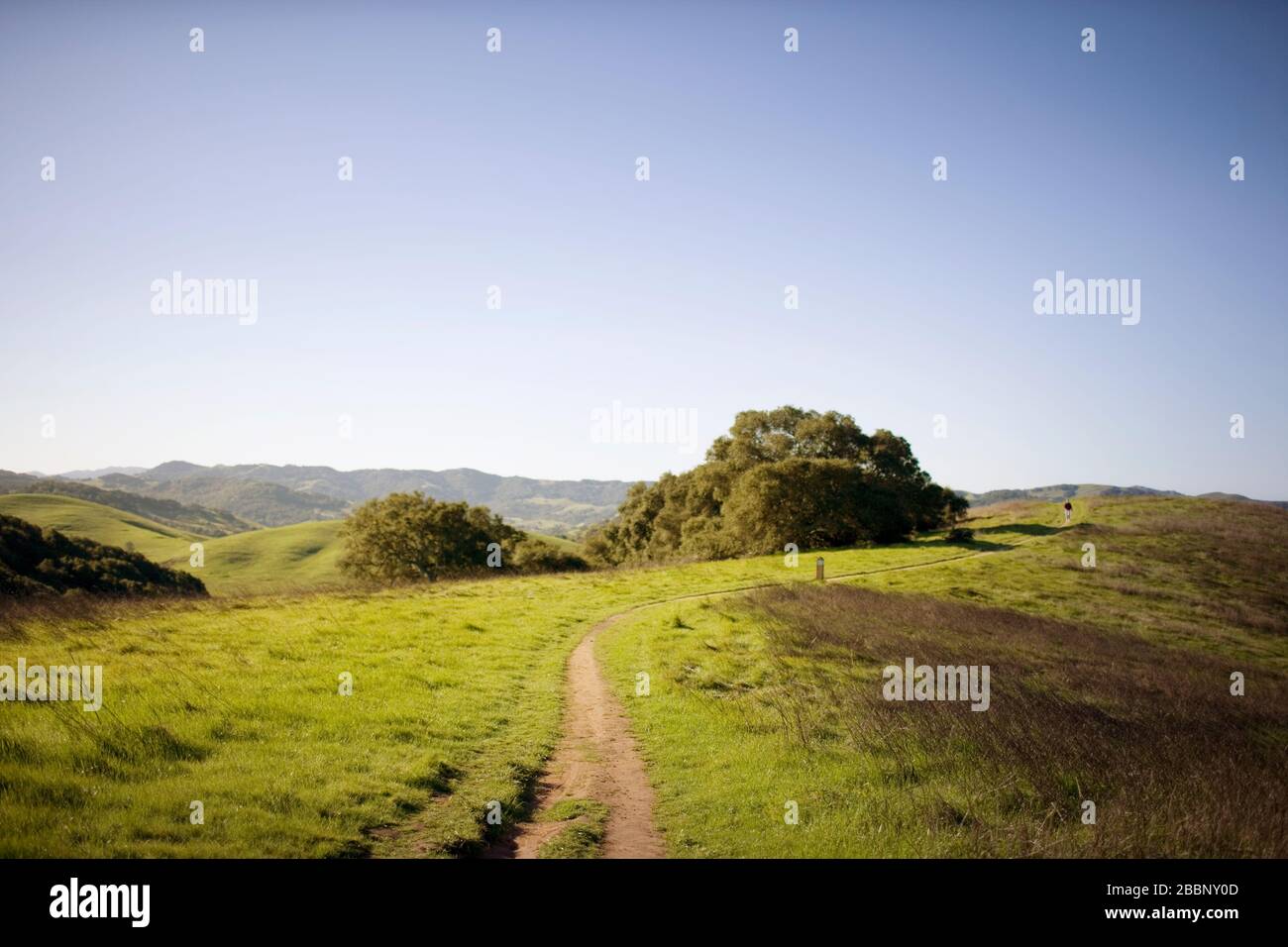 Rural scene of a walking track in the country Stock Photo - Alamy