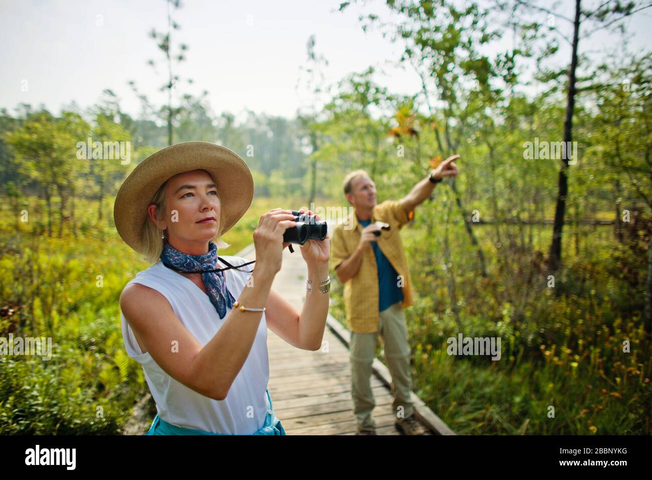 Happy mature couple birdwatching in woodland Stock Photo - Alamy