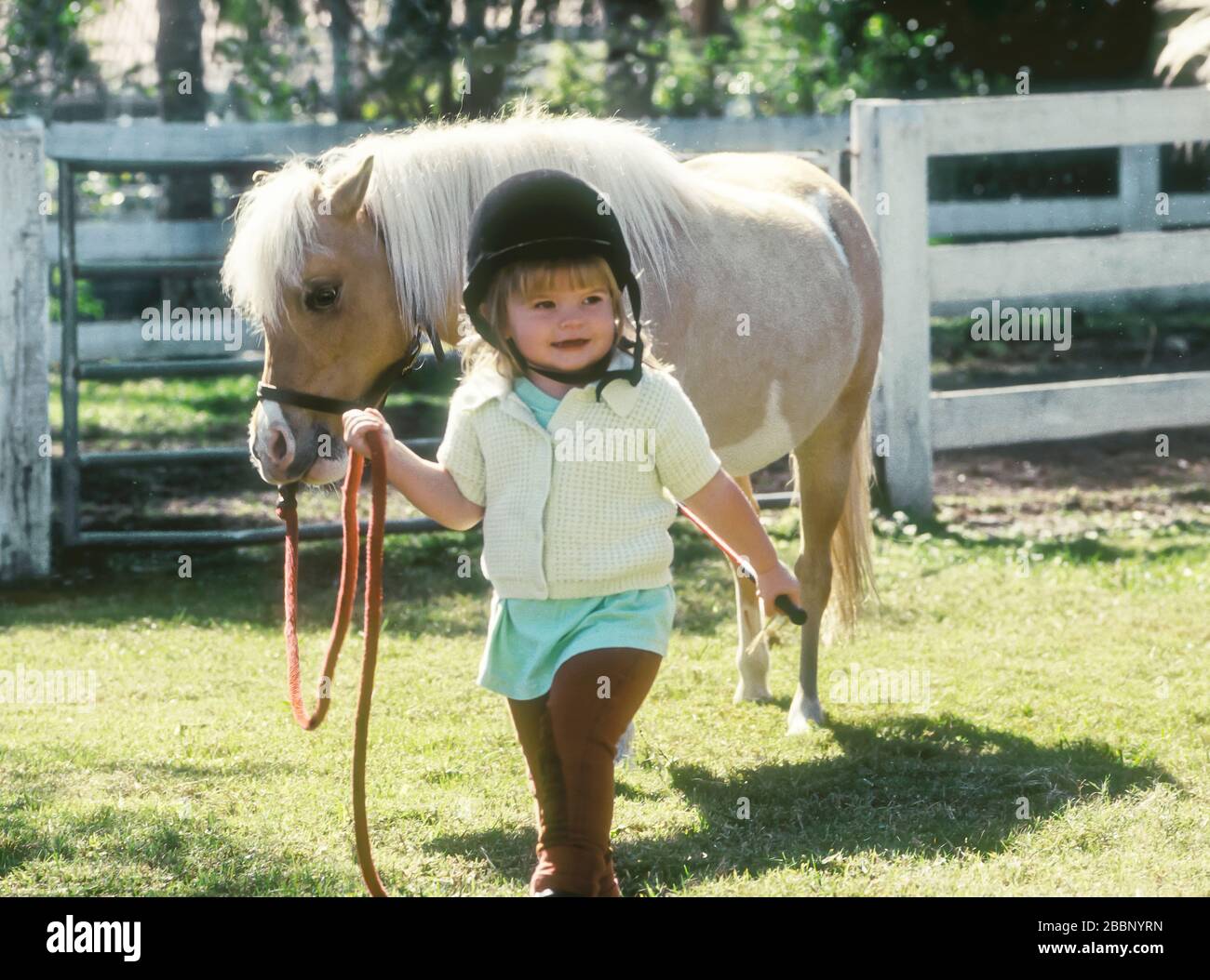Two year old equestrian girl walking compliant pony with lead rope ...