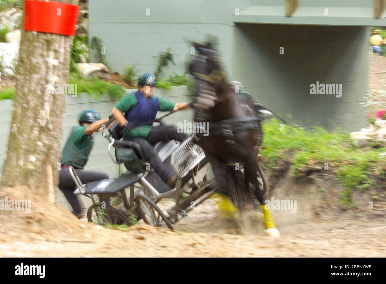 Marathon, CAI Live Oak combined driving competition Stock Photo - Alamy