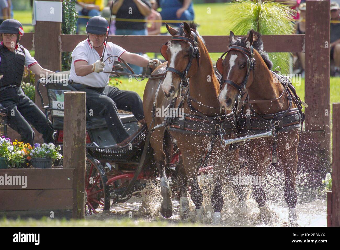 Horse cart race hi-res stock photography and images - Alamy