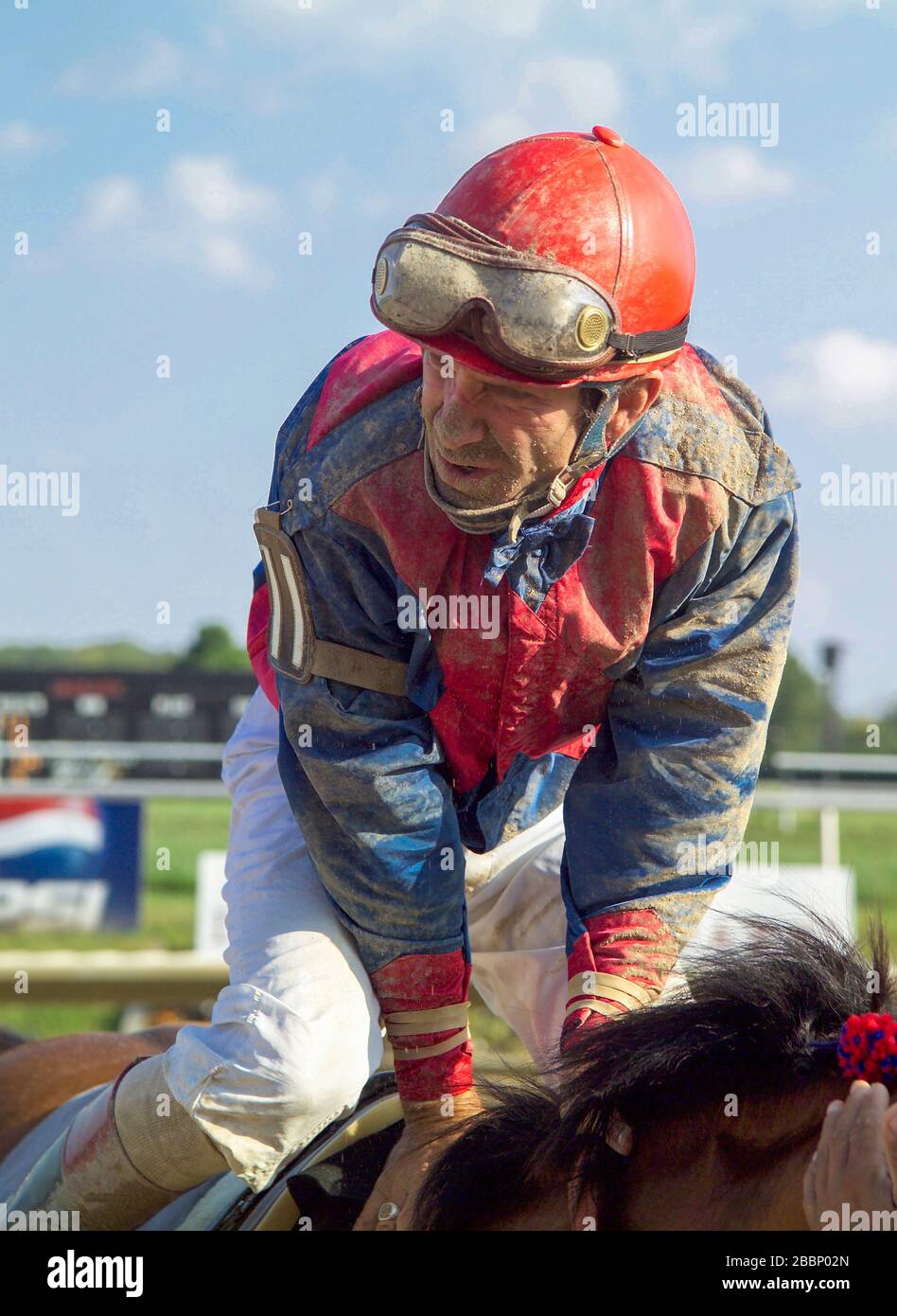 Horse after race hi-res stock photography and images - Alamy