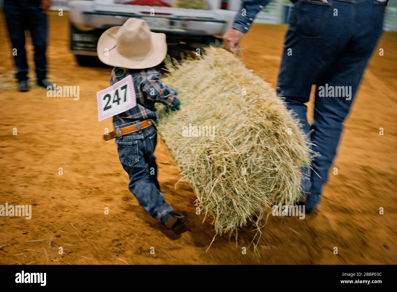 Little boy carrying a large bale of hay at a rodeo competition Stock ...