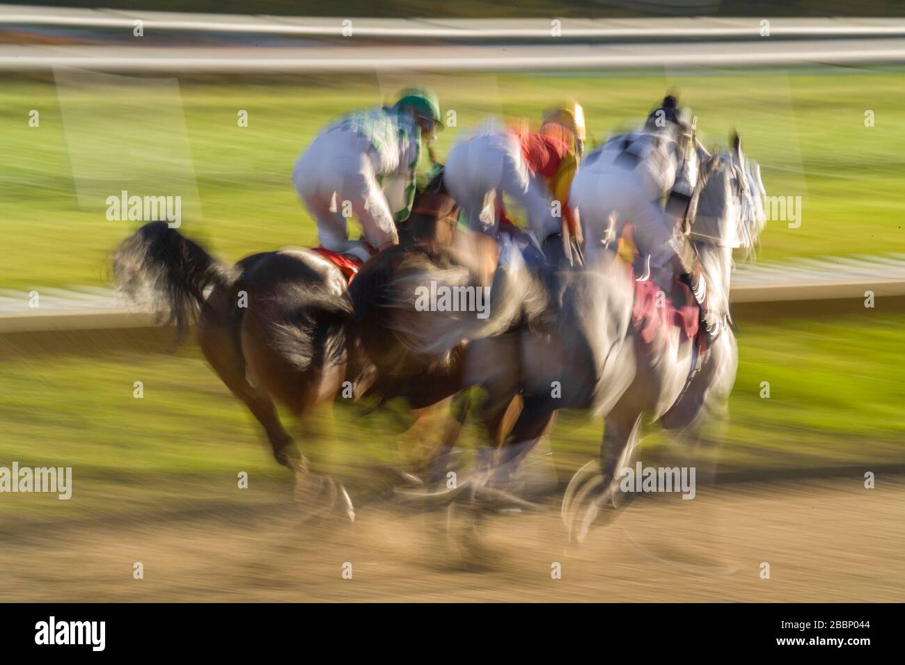 Three race horses drive to a close finish Stock Photo - Alamy