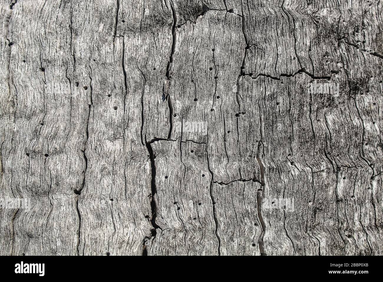 Old Weathered Wood Texture Stock Photo - Alamy
