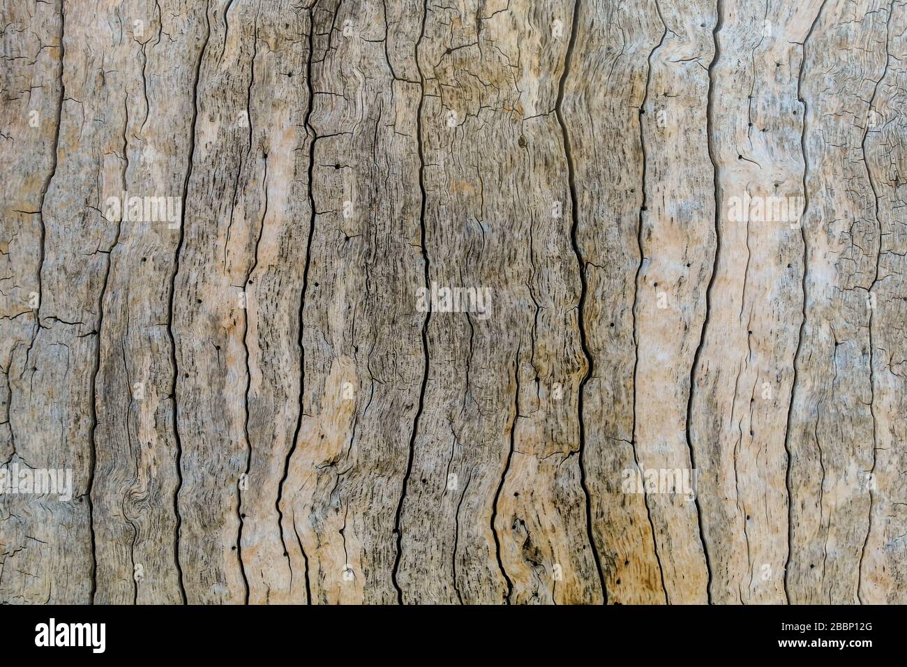Old Weathered Wood Texture Stock Photo - Alamy