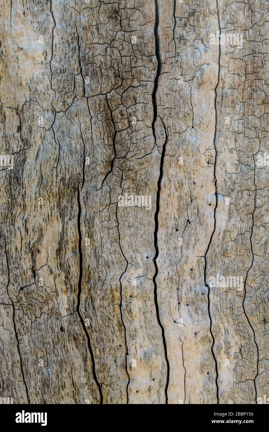 Old Weathered Wood Texture Stock Photo - Alamy