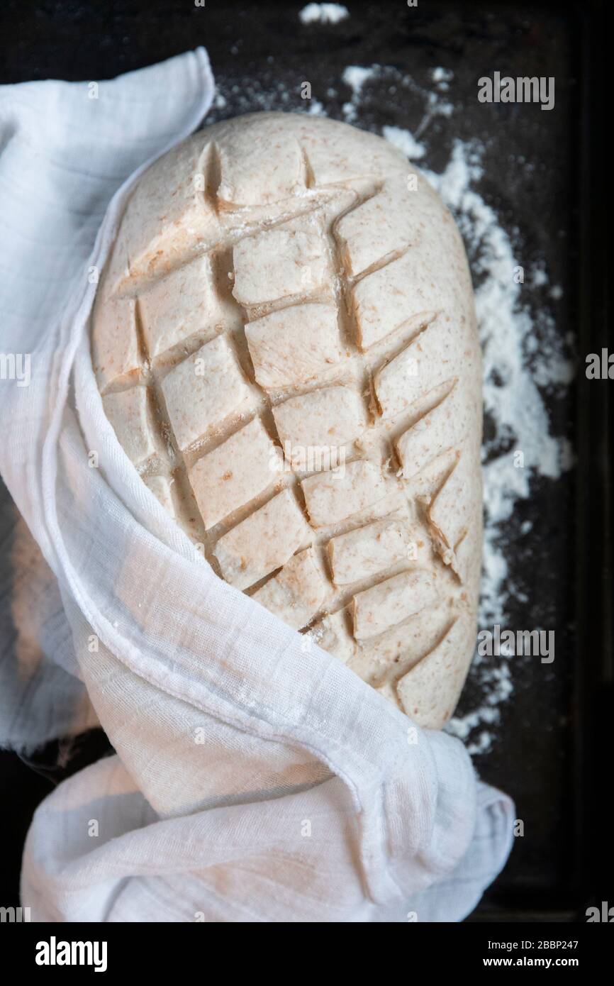 a shaped dough ready to be baked Stock Photo - Alamy