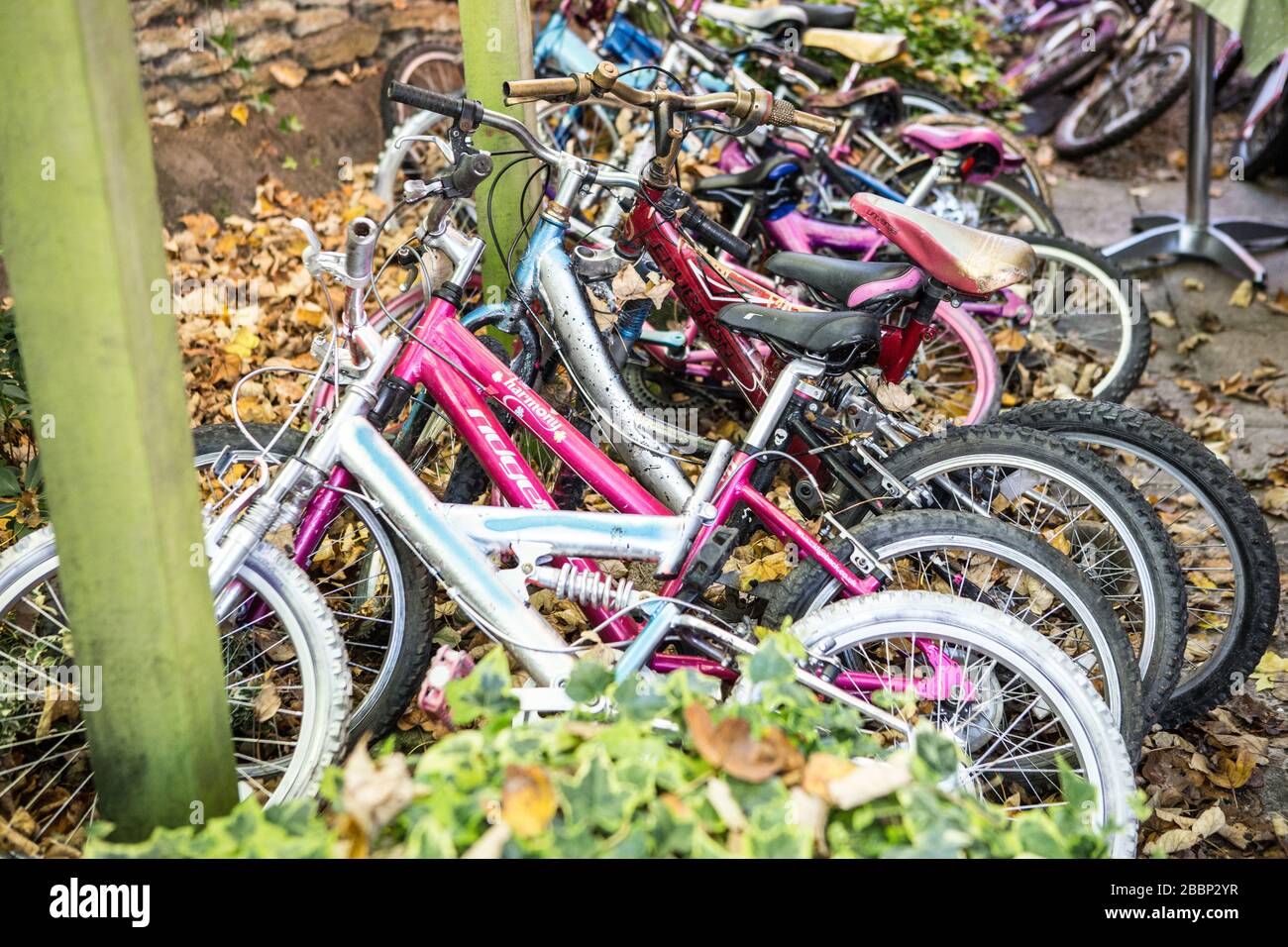 Group of colourful bicycles lined up together Stock Photo - Alamy