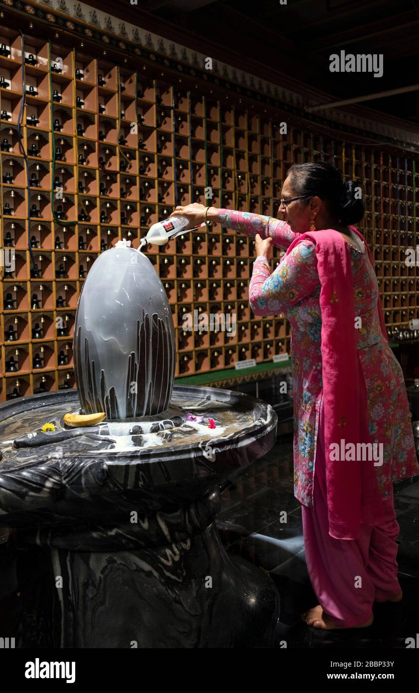 A devout Hindu woman in a beautiful sari pours milk over a shiva lingam ...