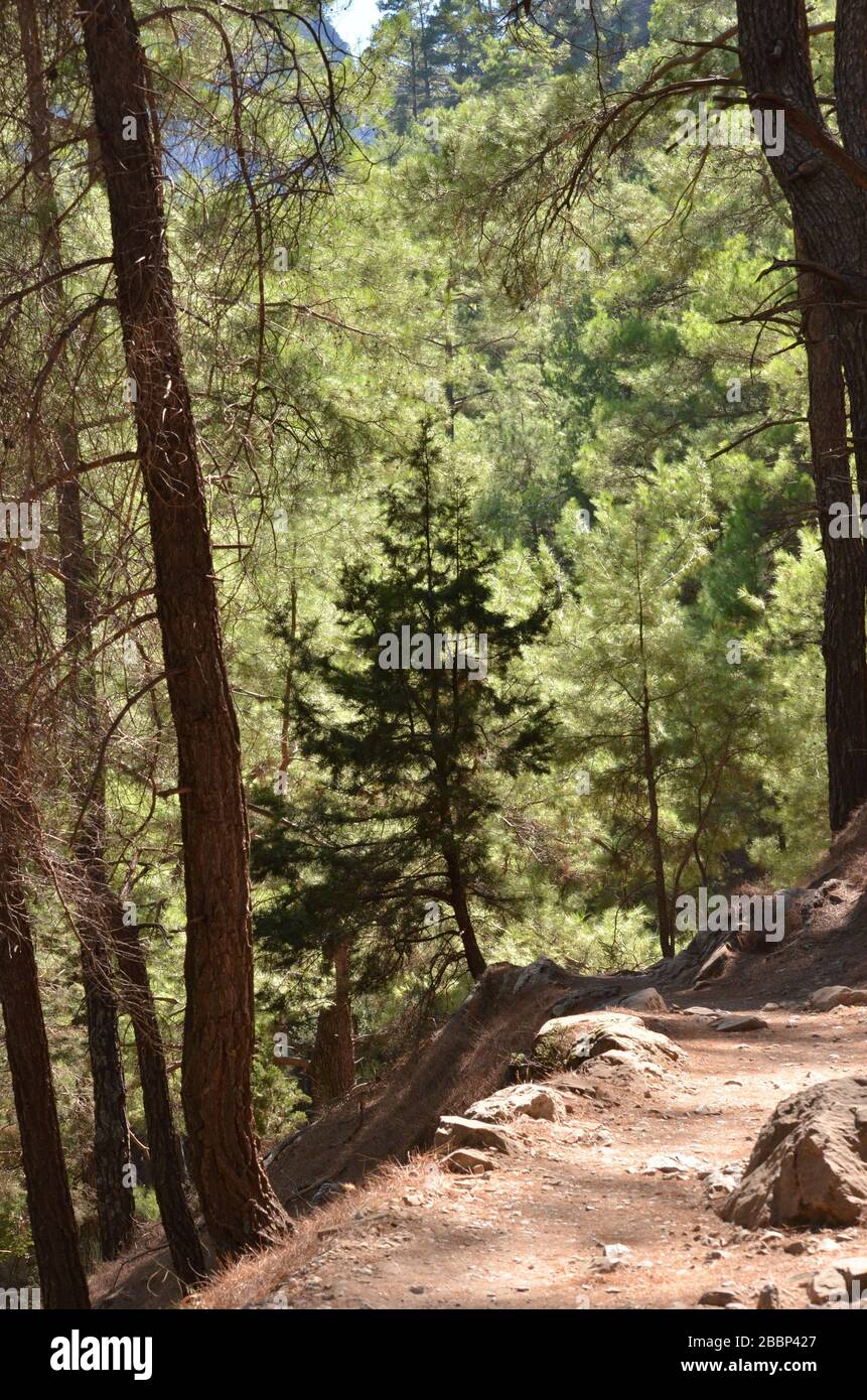 Samaria Gorge hike in Crete Stock Photo - Alamy