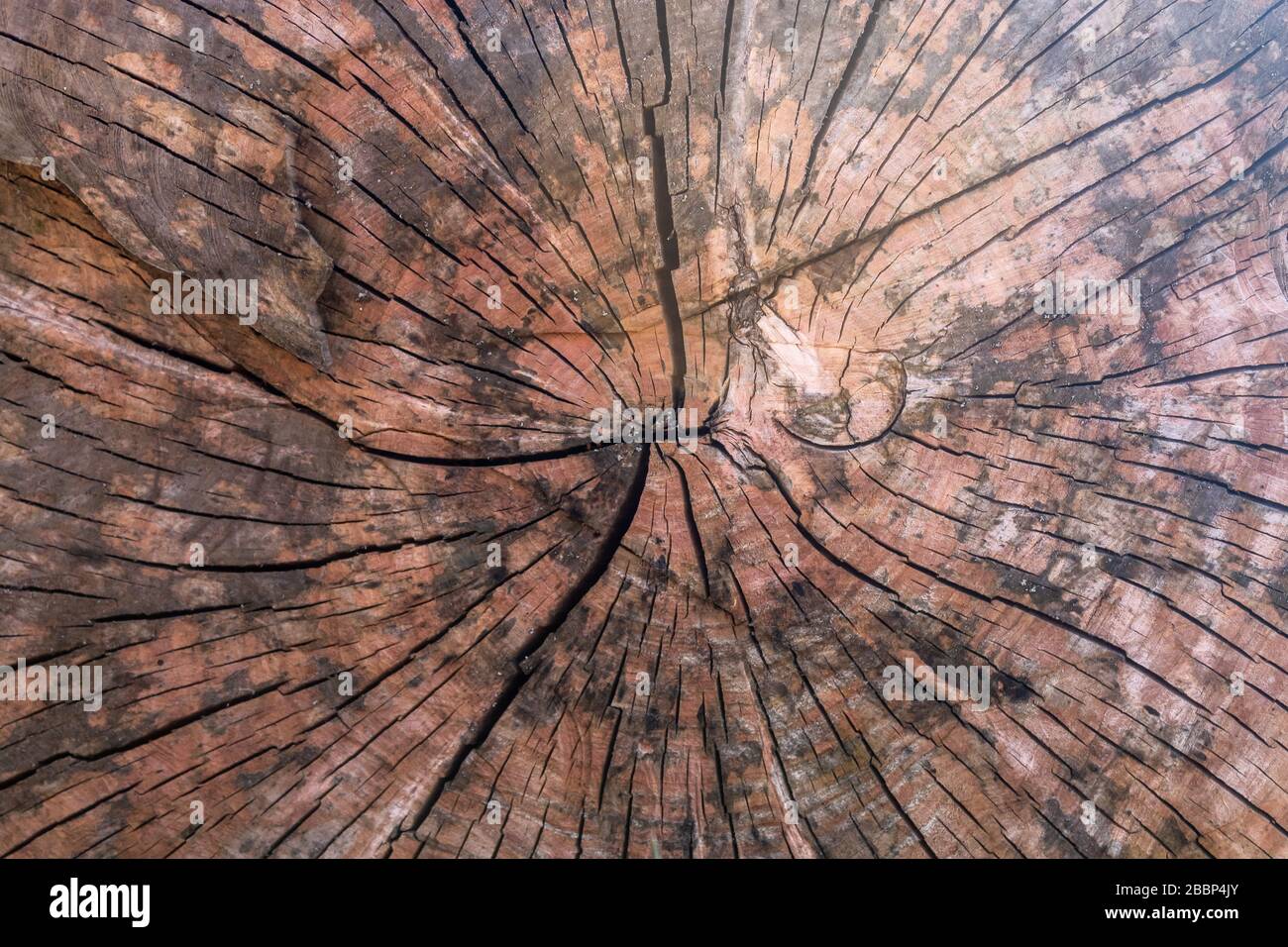 Old Weathered Cracked Wood Texture Stock Photo - Alamy