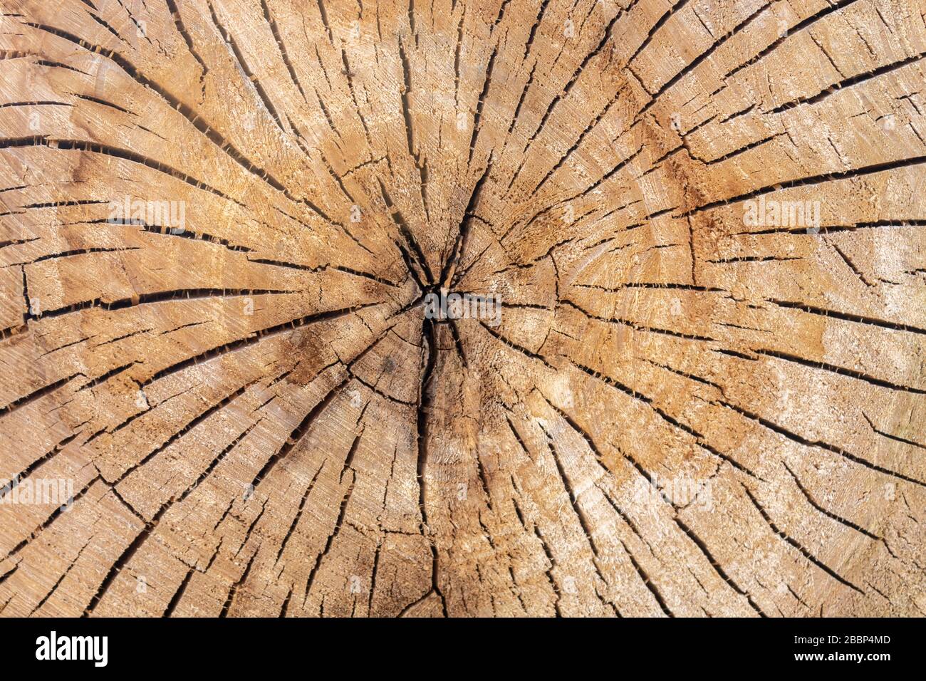 Old Weathered Cracked Wood Texture Stock Photo - Alamy