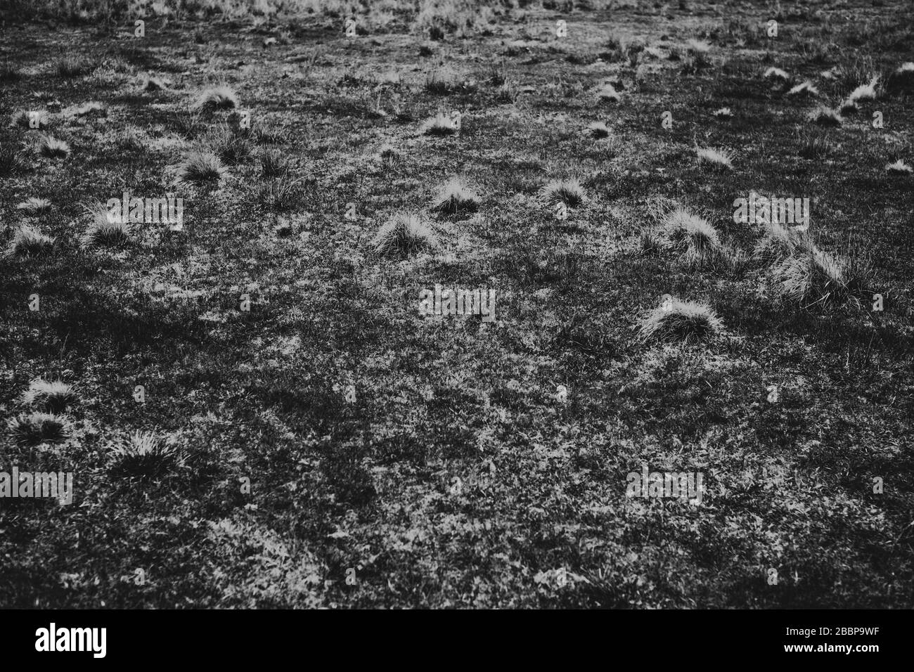 Farmland patches hi-res stock photography and images - Alamy