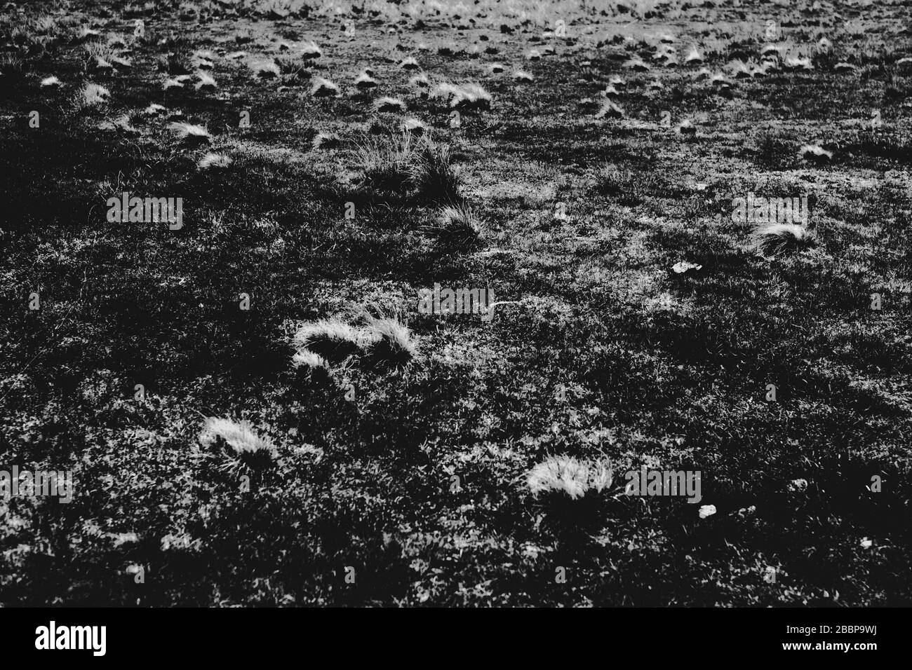 Farmland patches hi-res stock photography and images - Alamy