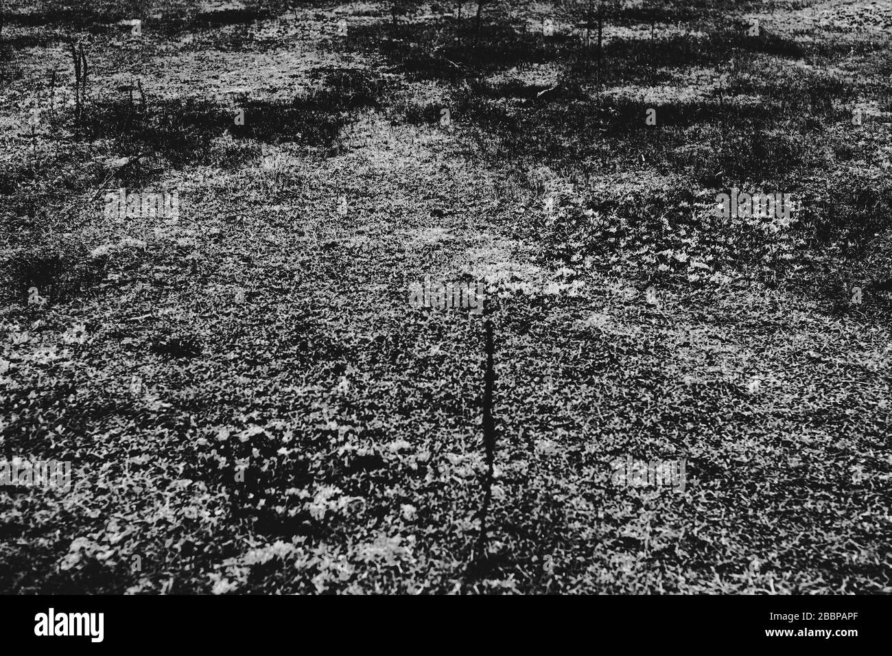 Land patches hi-res stock photography and images - Alamy