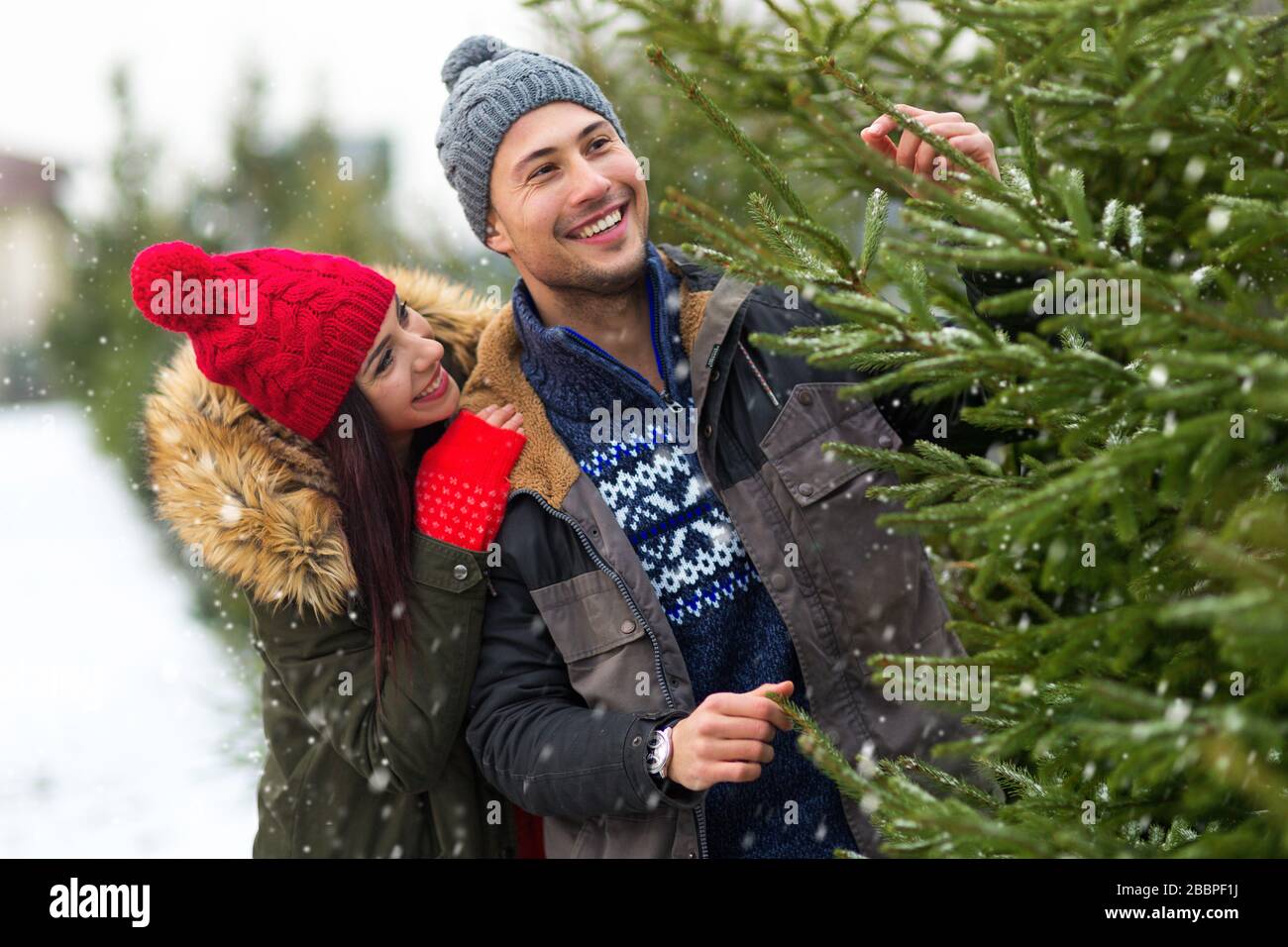 Choosing christmas tree hi-res stock photography and images - Alamy