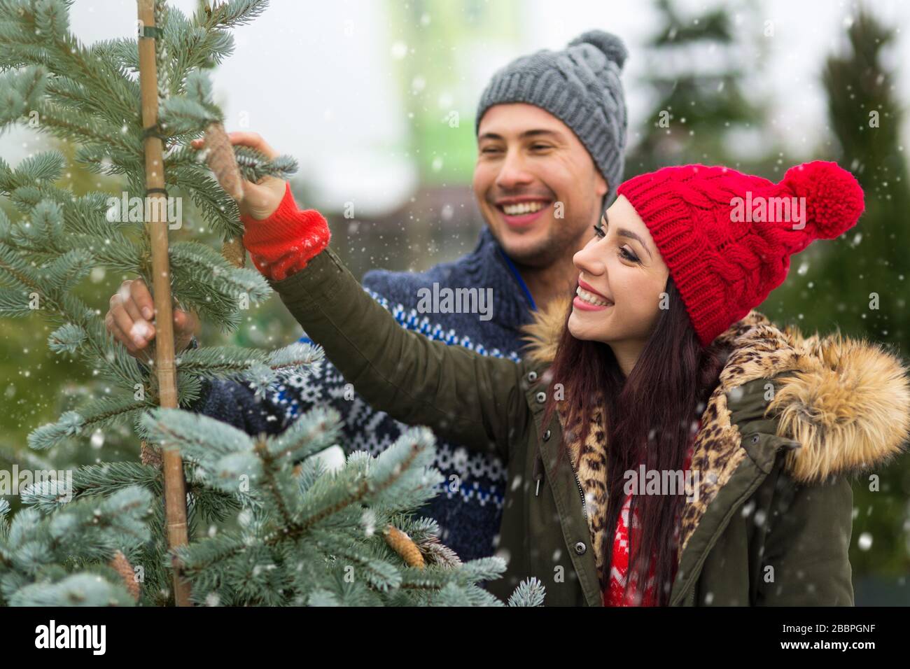Couple examining christmas tree hi-res stock photography and images - Alamy