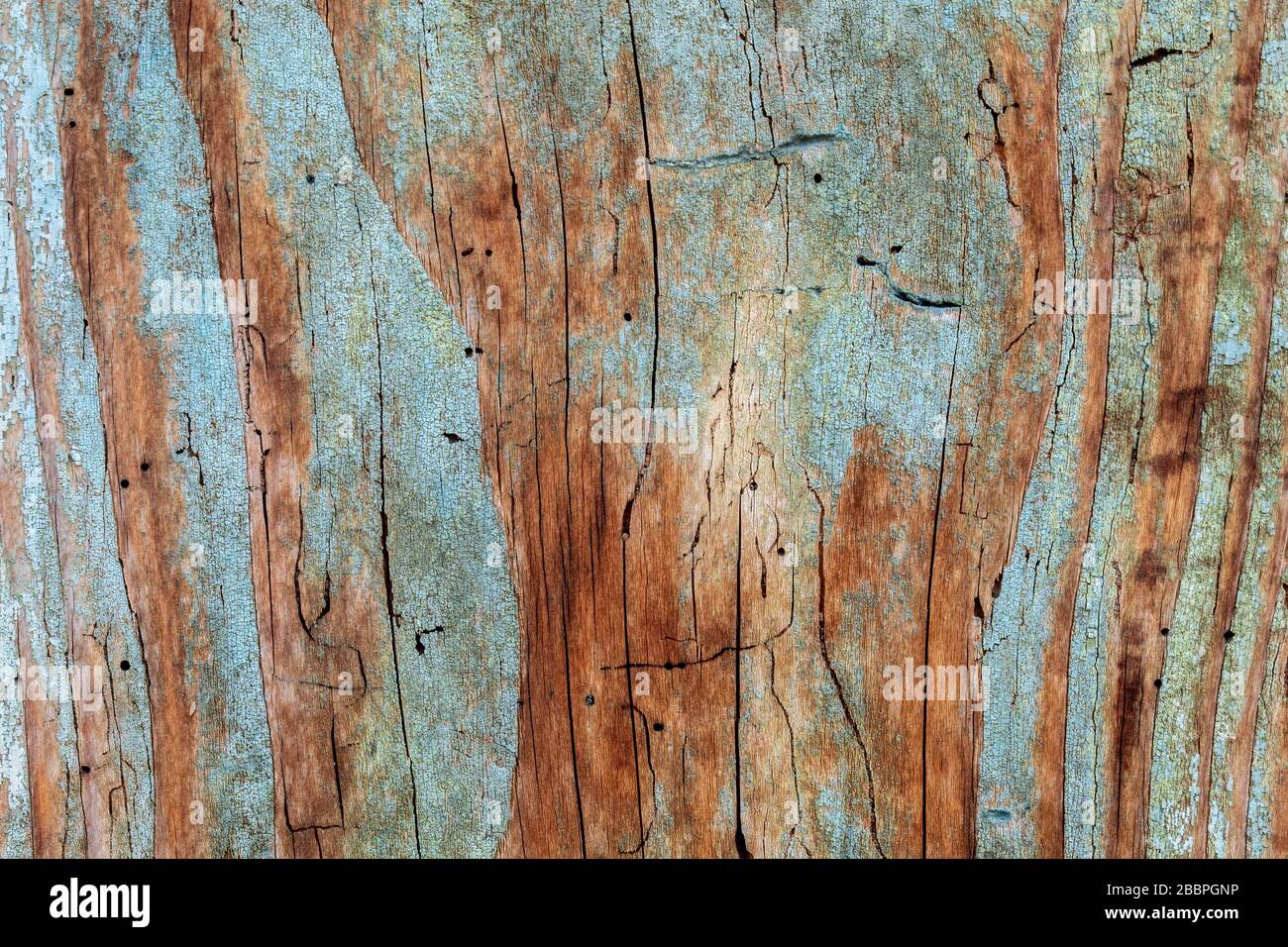 Old Weathered Wood Texture Stock Photo - Alamy