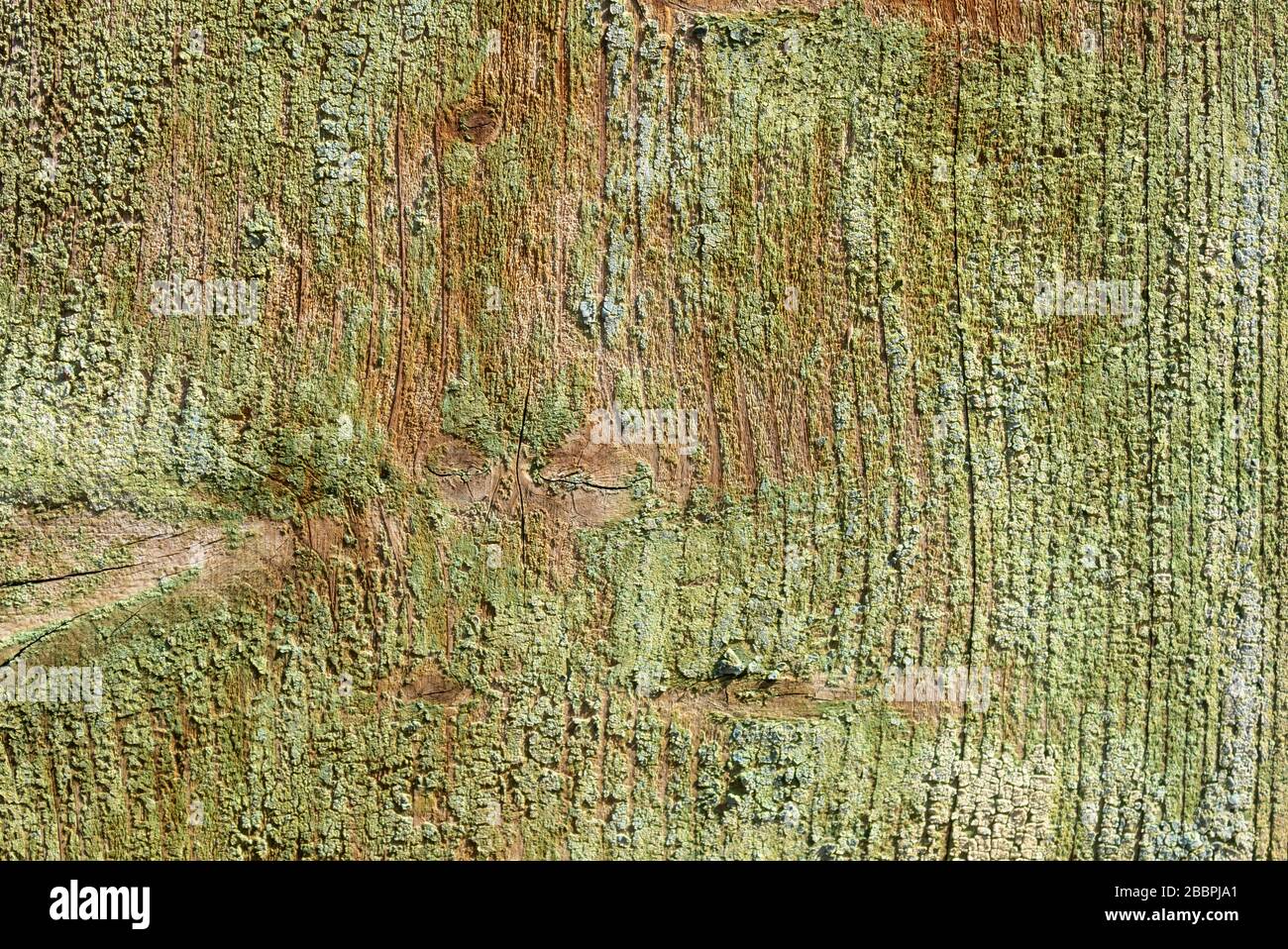 Old Weathered Wood Texture Stock Photo - Alamy