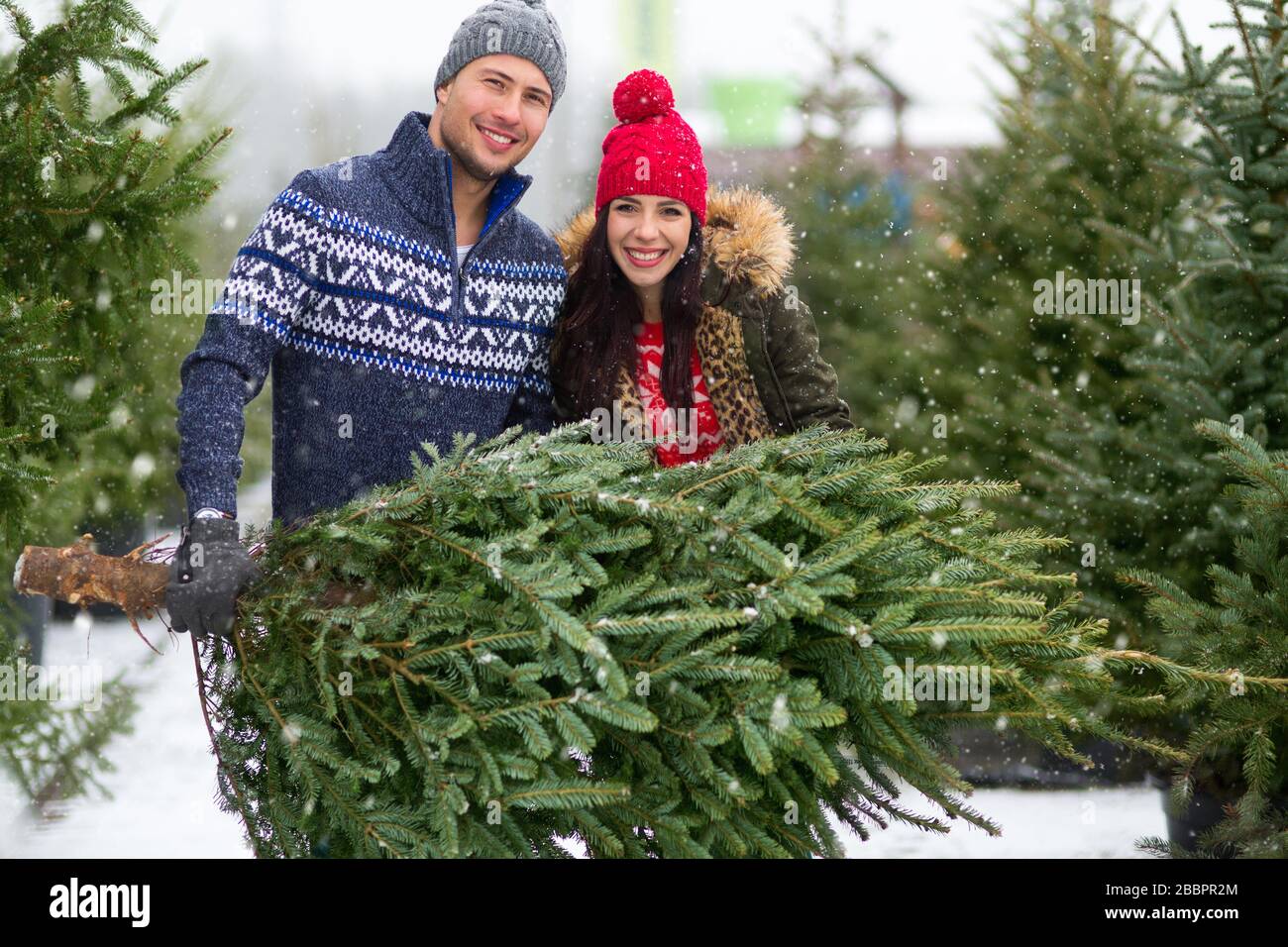 Couple buying Christmas tree Stock Photo - Alamy