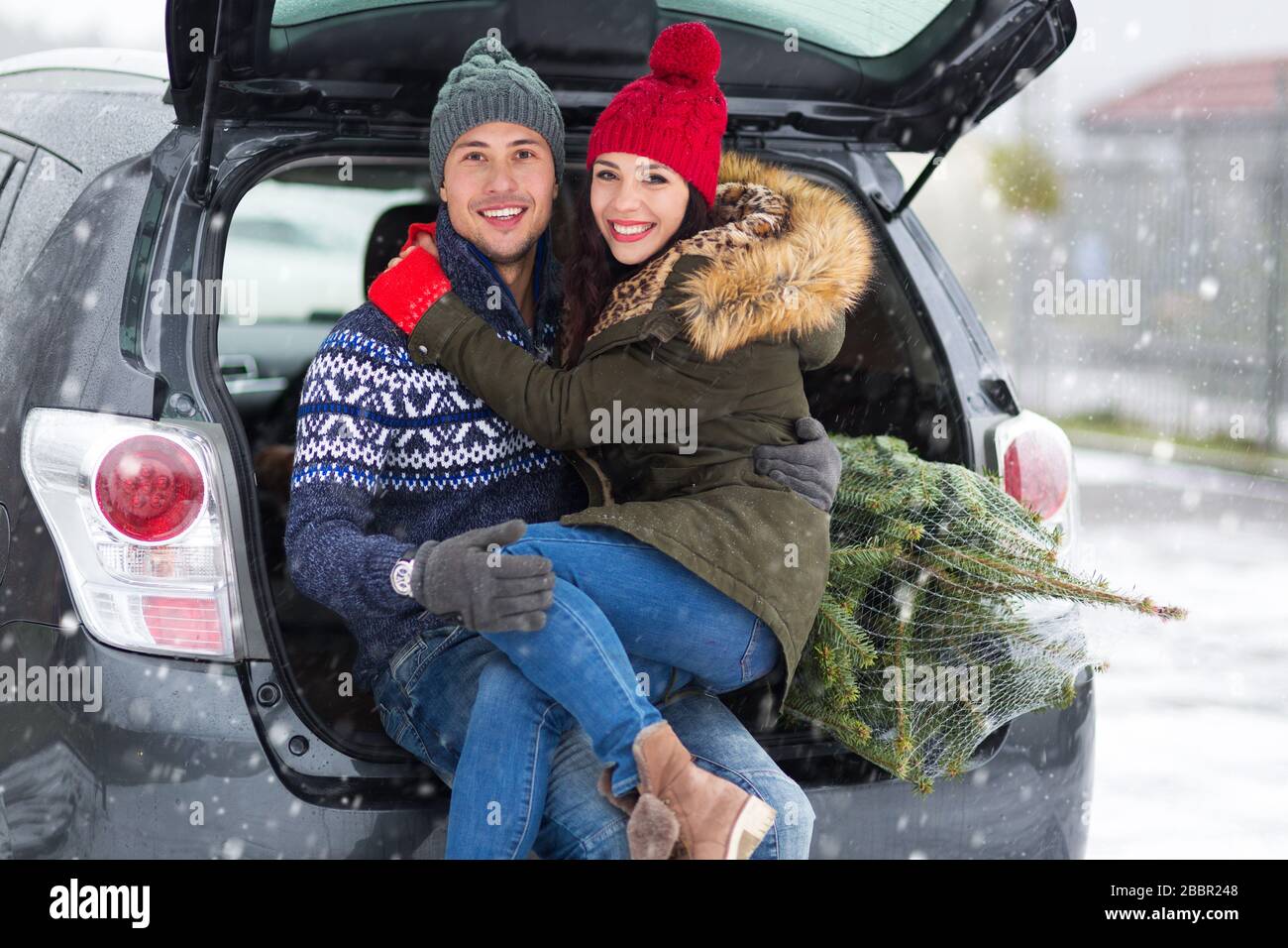 Couple examining christmas tree hi-res stock photography and images - Alamy