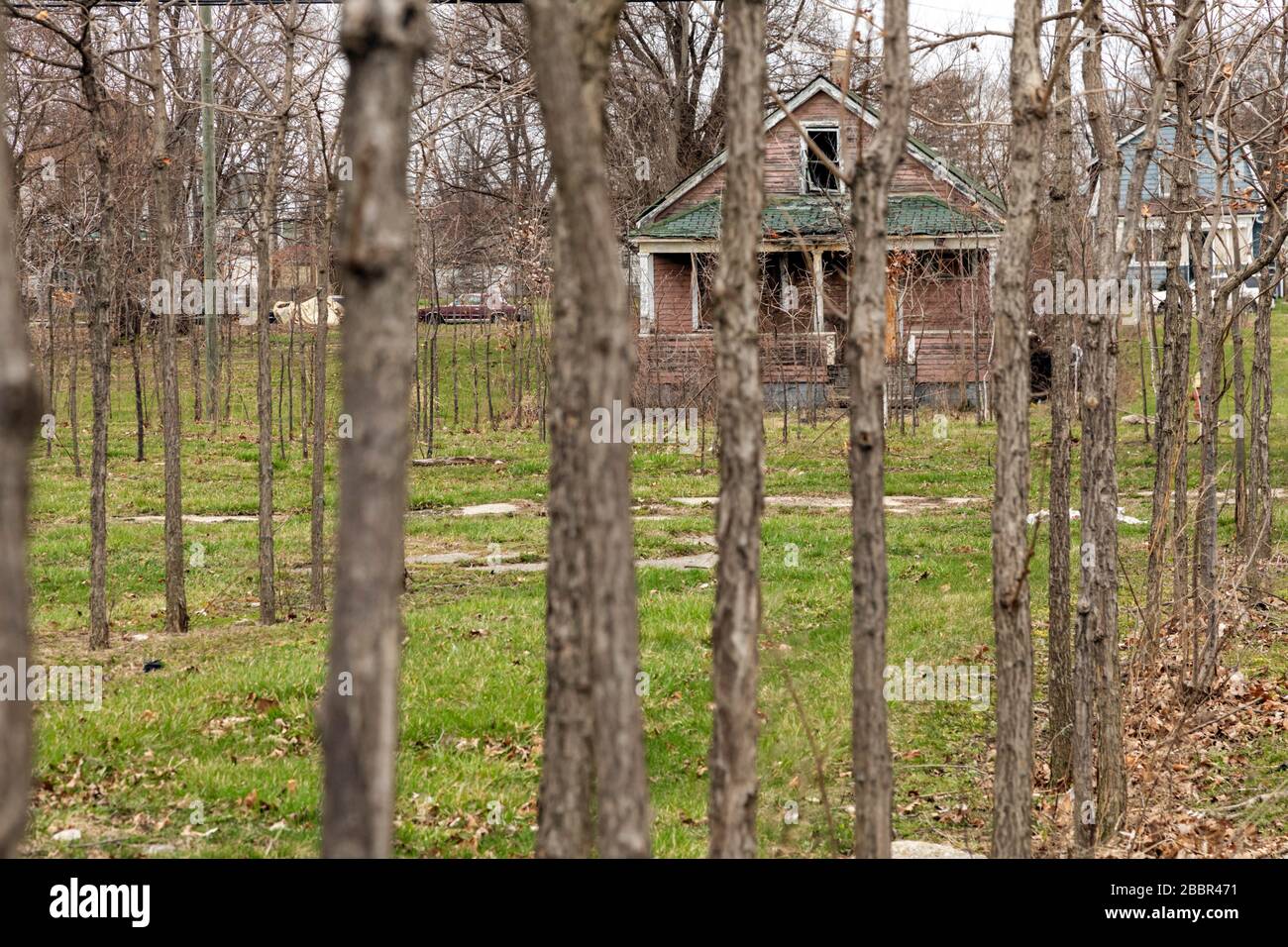 Detroit, Michigan - An abandoned house behind rows of trees, part of ...