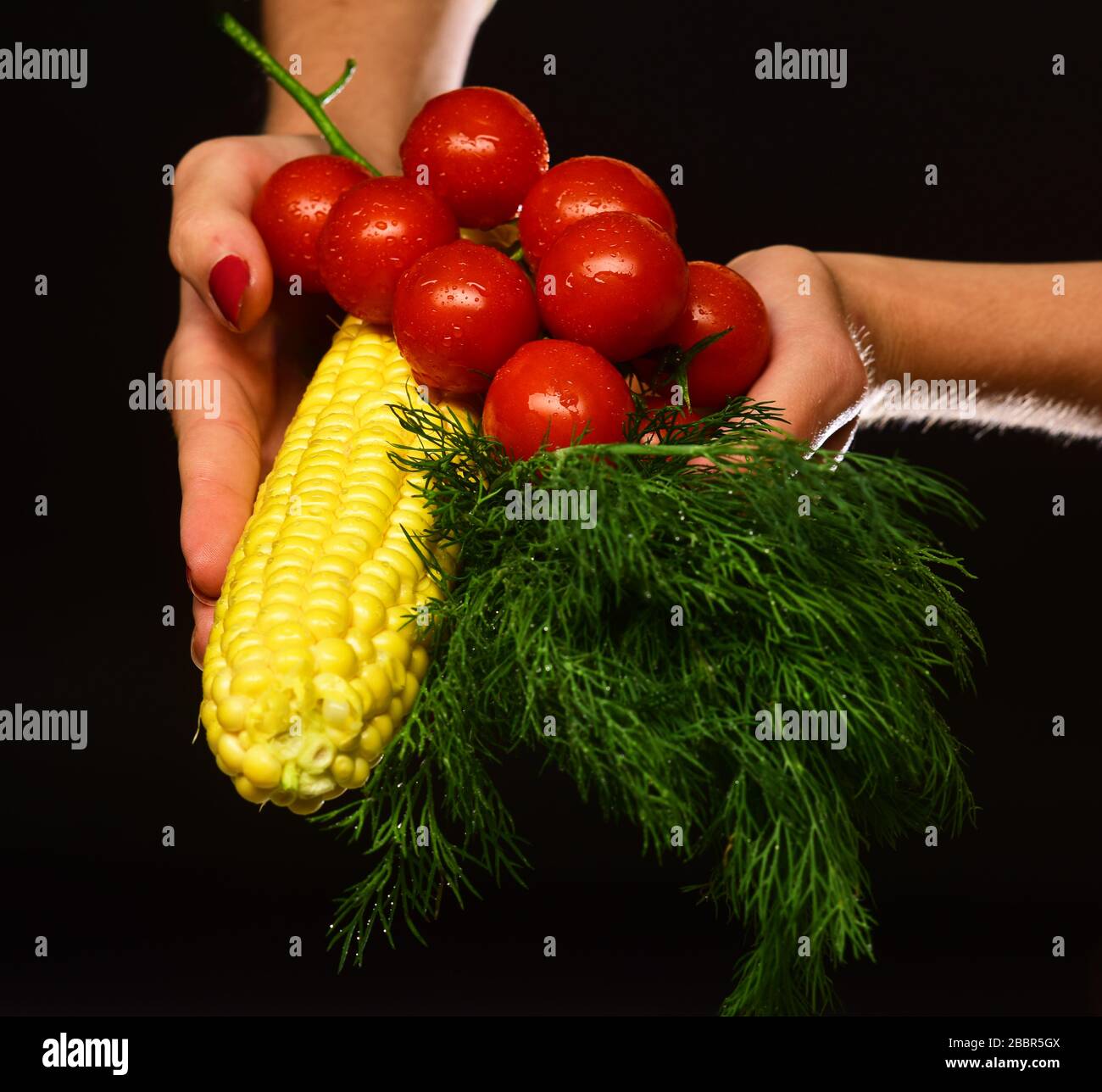 Autumn maize harvest idea. Female hands hold vegetables and bunch of ...