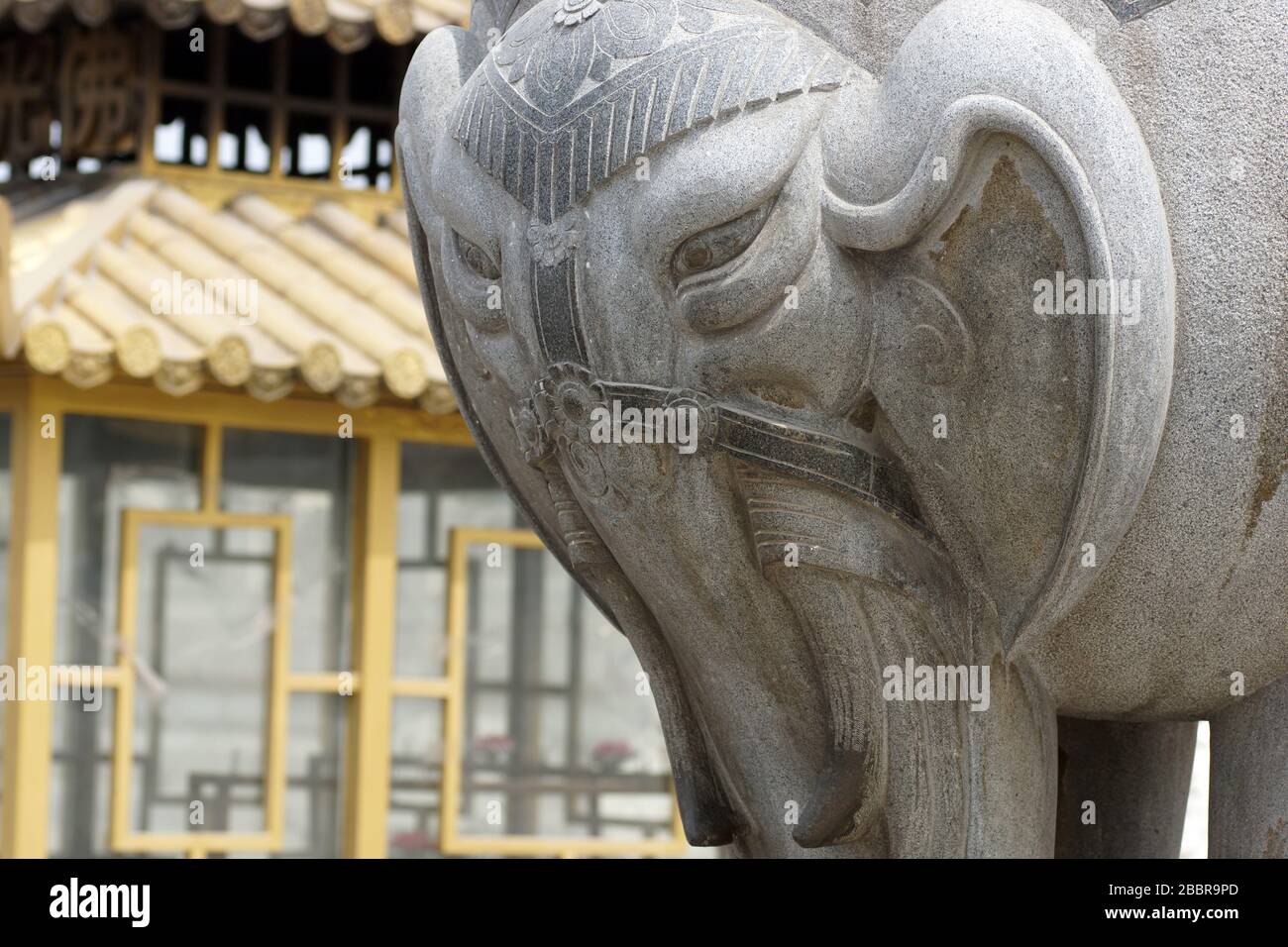 National animal of china hi-res stock photography and images - Alamy