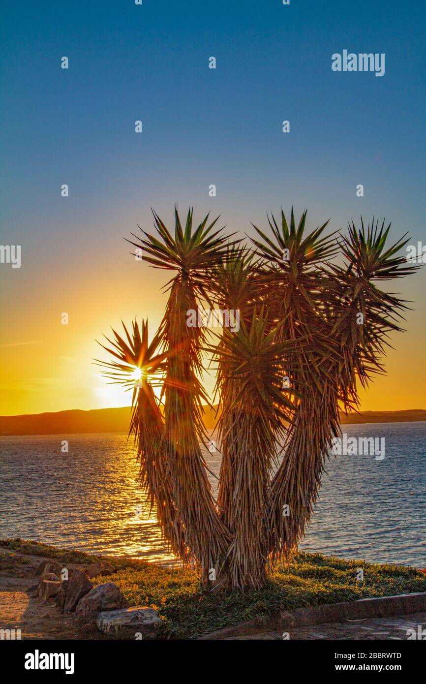 Namibias blue sky hi-res stock photography and images - Alamy