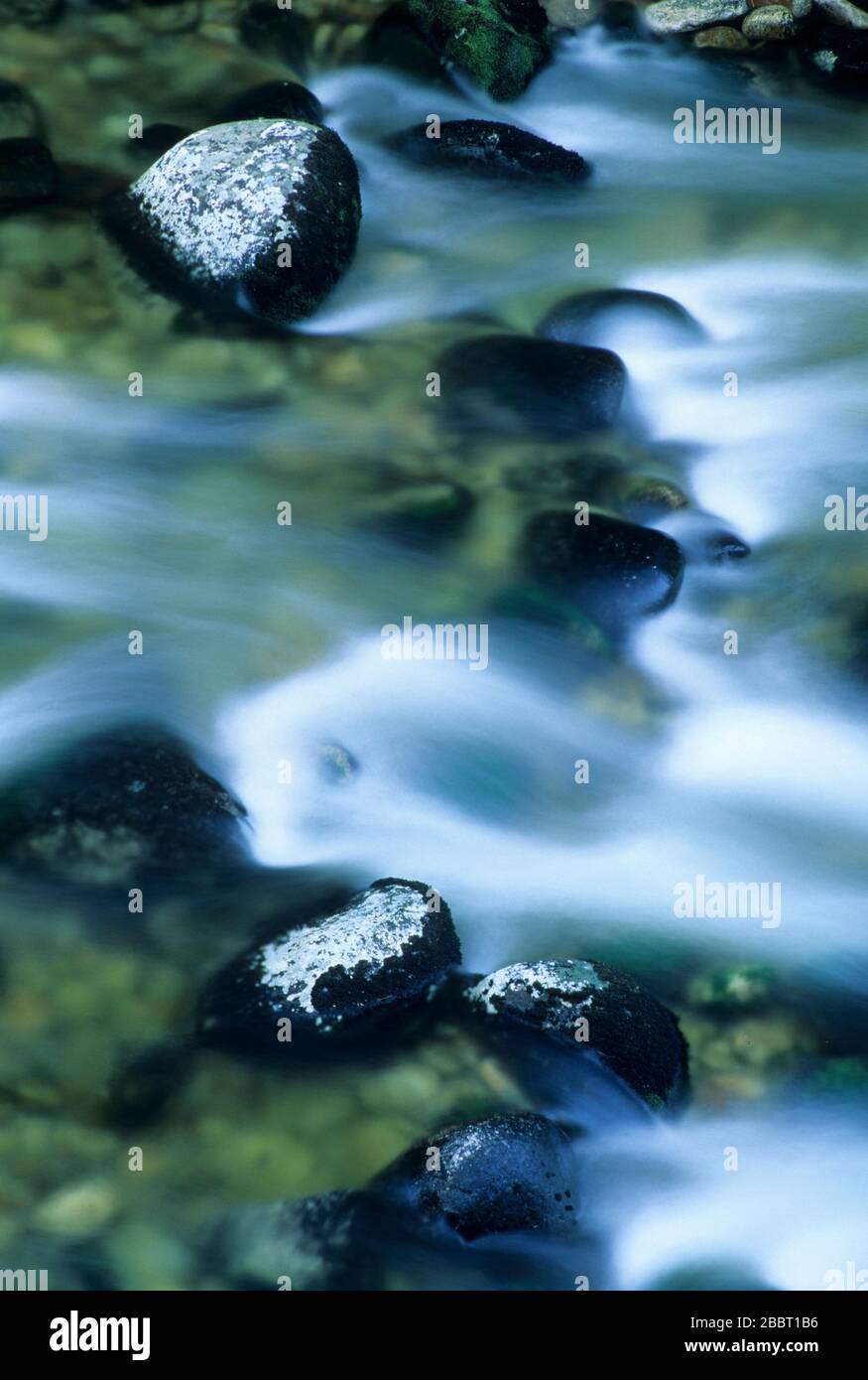 Warm Springs Creek, Lochsa Wild & Scenic River, Clearwater National ...