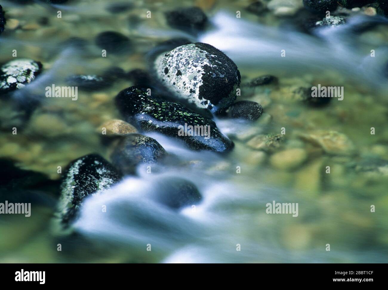 Warm Springs Creek, Lochsa Wild & Scenic River, Clearwater National ...