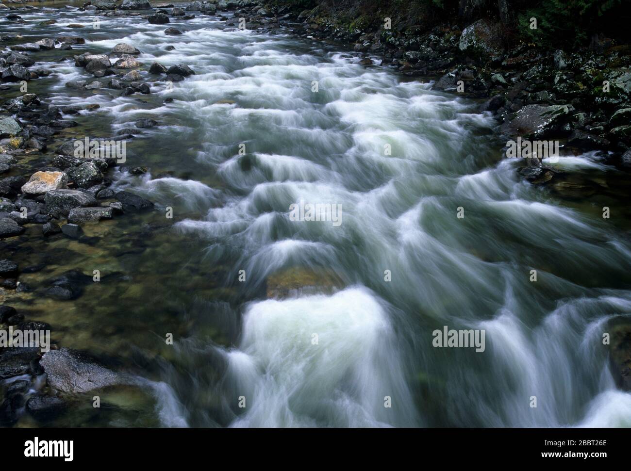 Lochsa Wild & Scenic River, Clearwater National Forest, Northwest ...