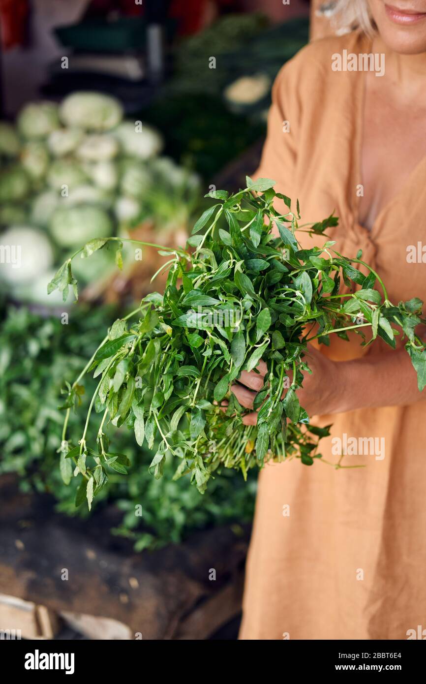 Farmer Hold Fresh Green Ponnanganni Keerai in Hand Stock Photo - Alamy