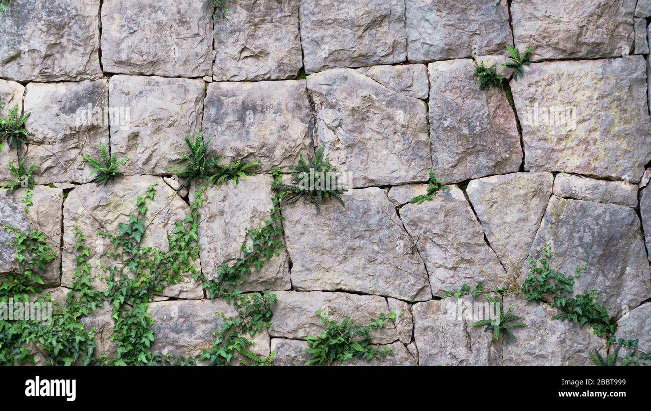 beautiful wall of gray stone Stock Photo - Alamy