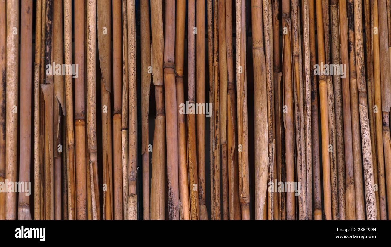 Rattan thatch roof hi-res stock photography and images - Alamy