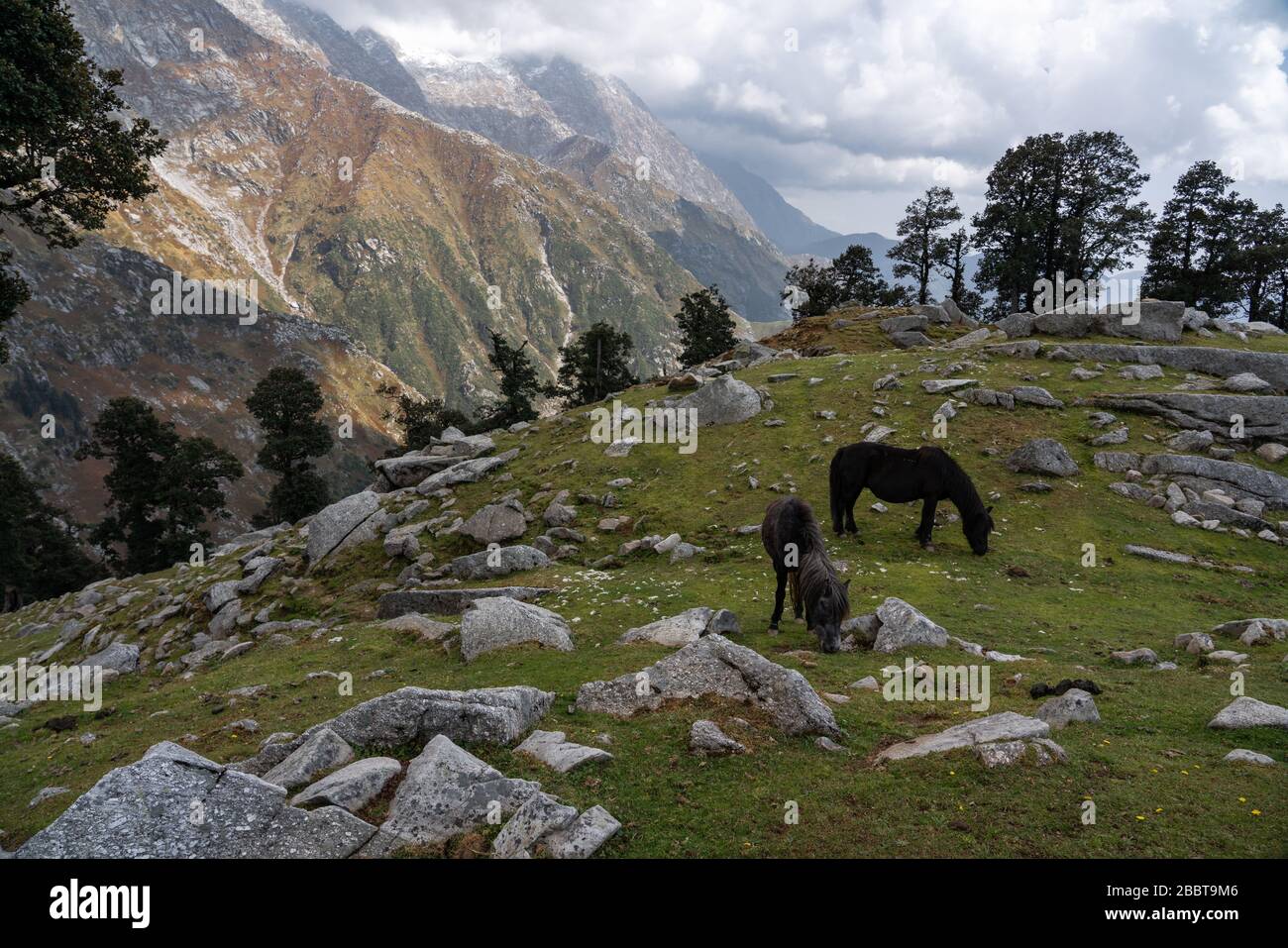 Manali city view in Northern India Himalayas landscape Stock Photo - Alamy