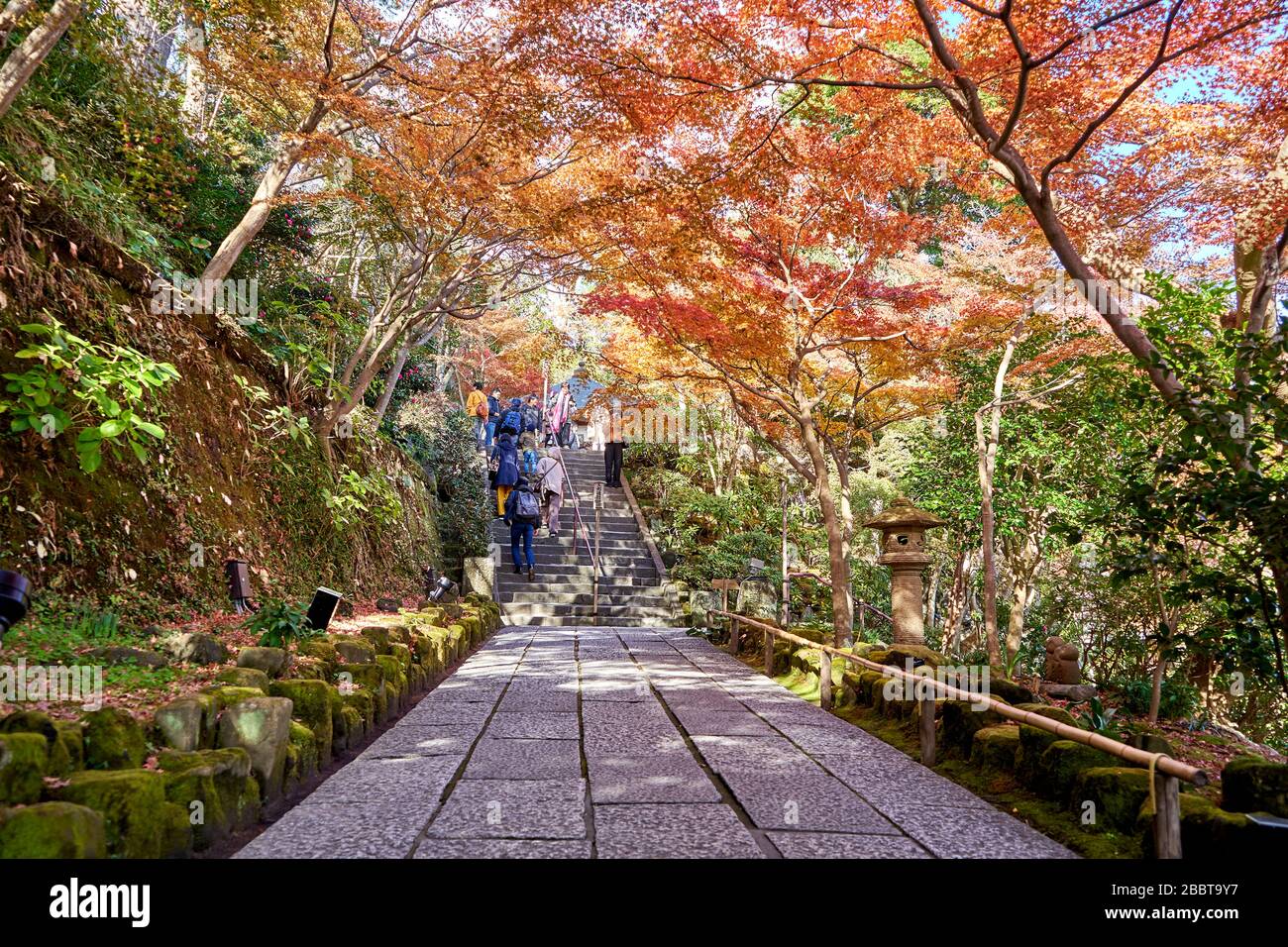 Garden path under trees hi-res stock photography and images - Alamy