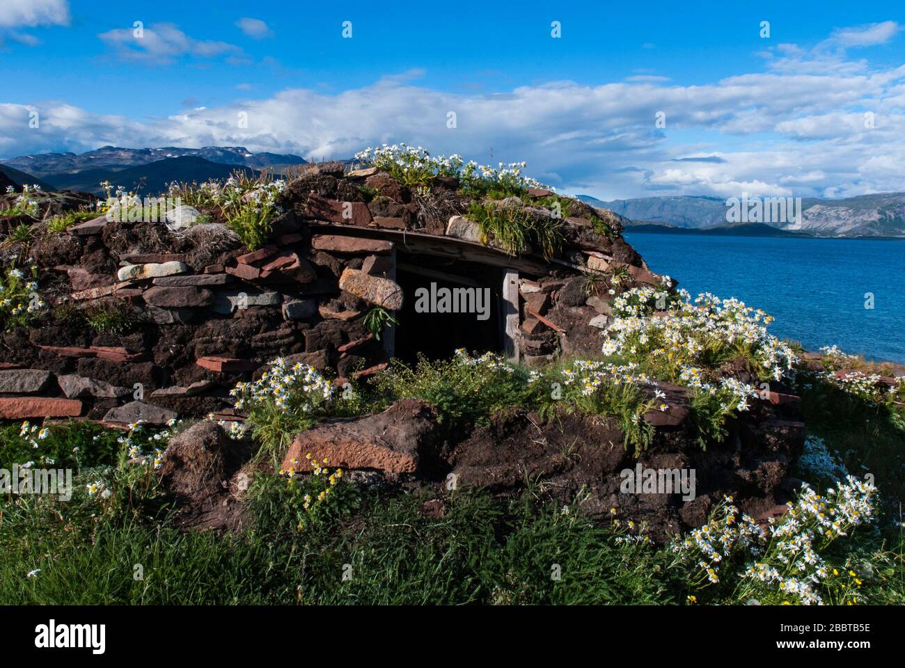 The view of Narsarsuaq in Greenland, remains of the old house of ...