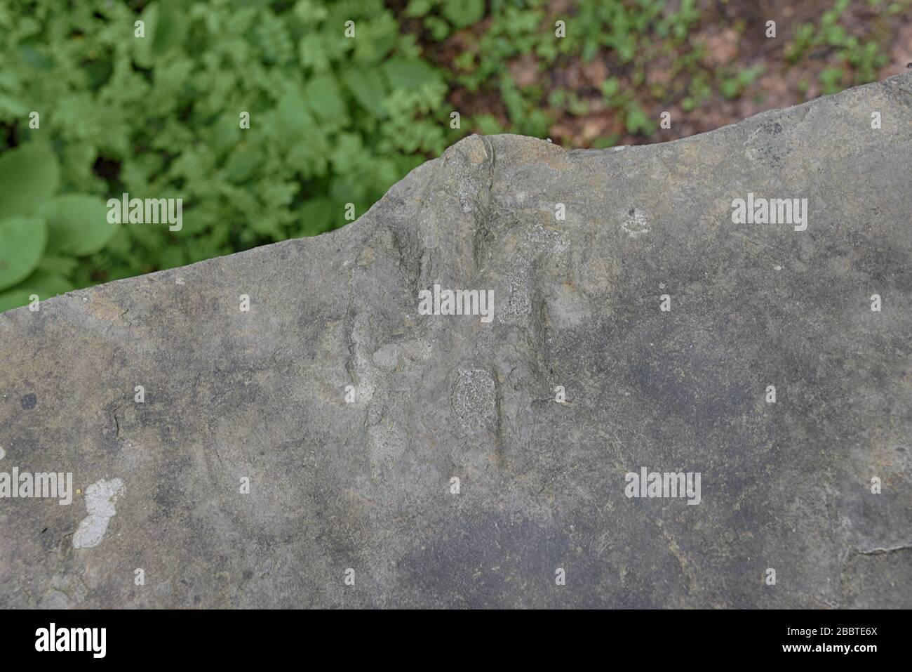 On the stone bridge that carries South Confederate Avenue over Plum Run ...
