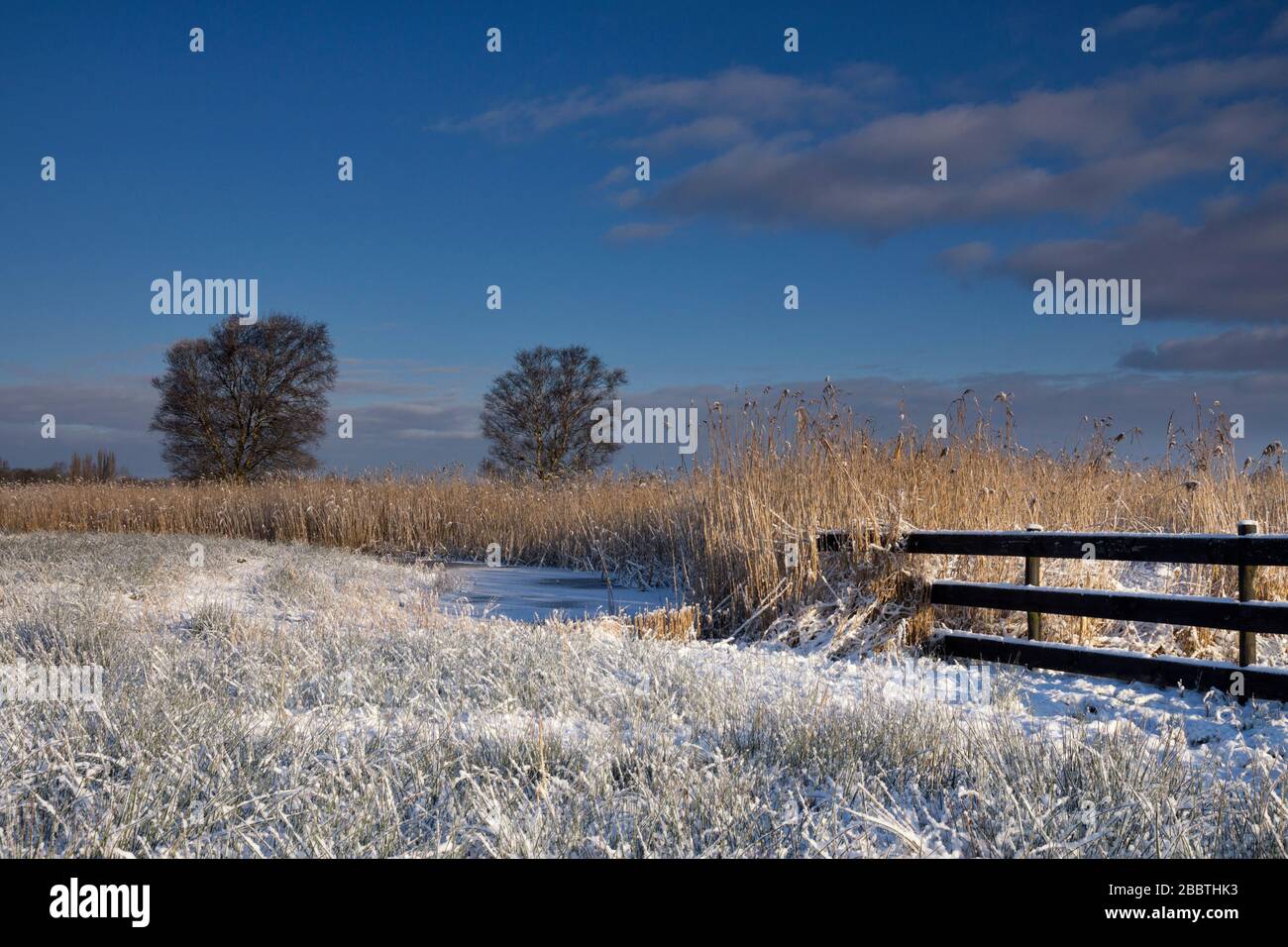 Landscape near Wijckel Stock Photo - Alamy
