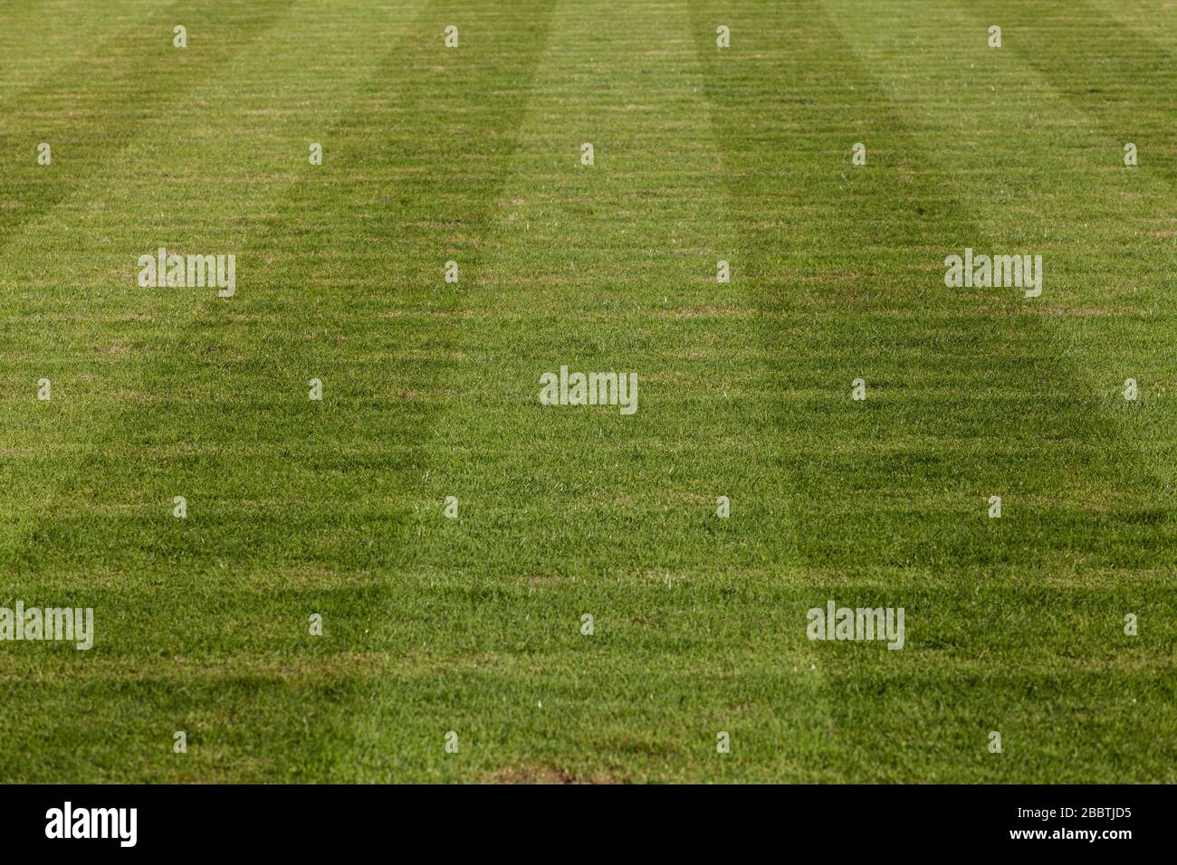 Closeup image of natural green grass soccer field Stock Photo - Alamy