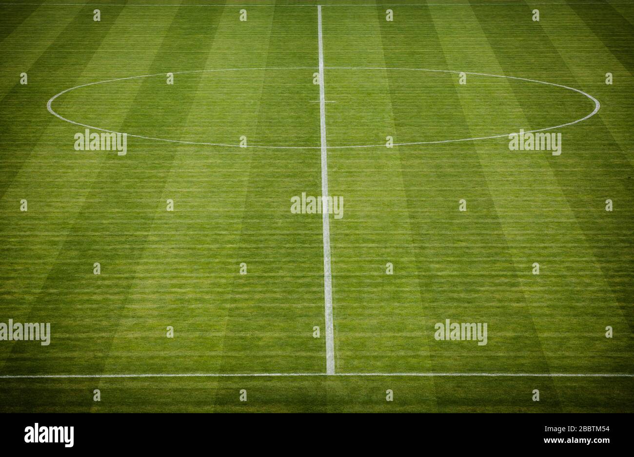 Closeup image of natural green grass soccer field Stock Photo - Alamy