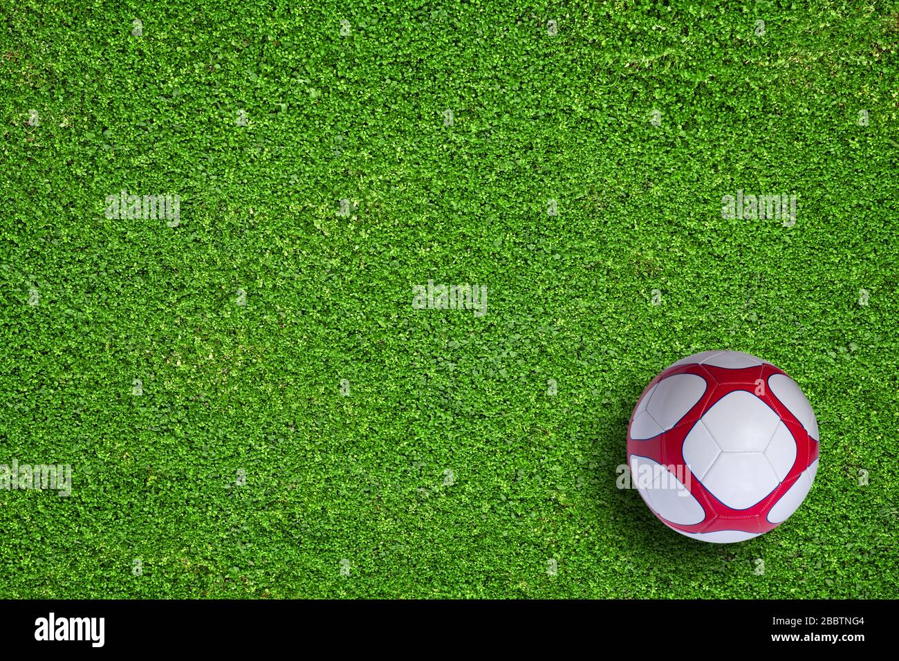 Closeup image of natural green grass soccer field Stock Photo - Alamy