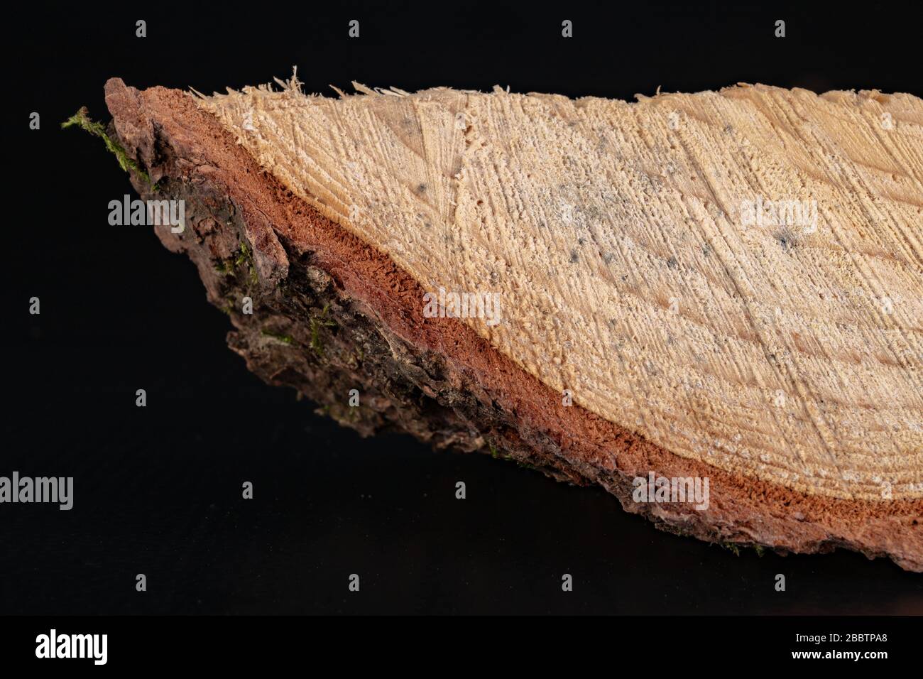 Unique one piece hardwood hi-res stock photography and images - Alamy
