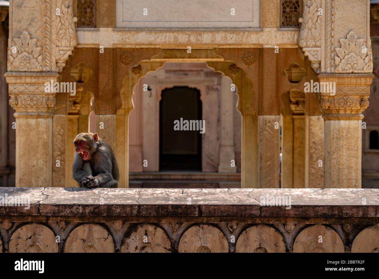 World wonder india hi-res stock photography and images - Alamy