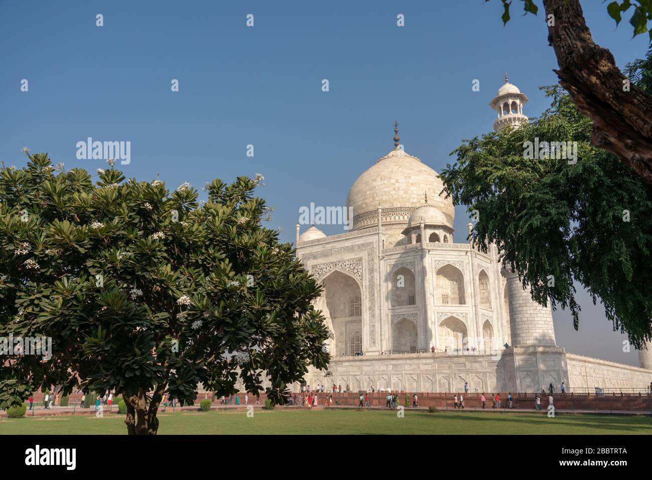 Taj Mahal India world wonder Stock Photo - Alamy