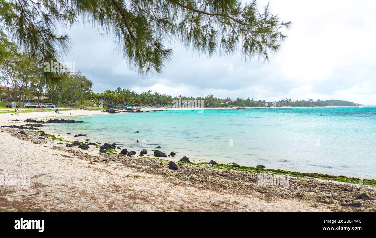 White sand beach and palm trees in Mauritius Stock Photo - Alamy