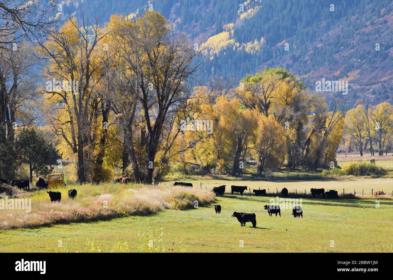 The Western Slope of Colorado offers amazing panoramic vistas of ...