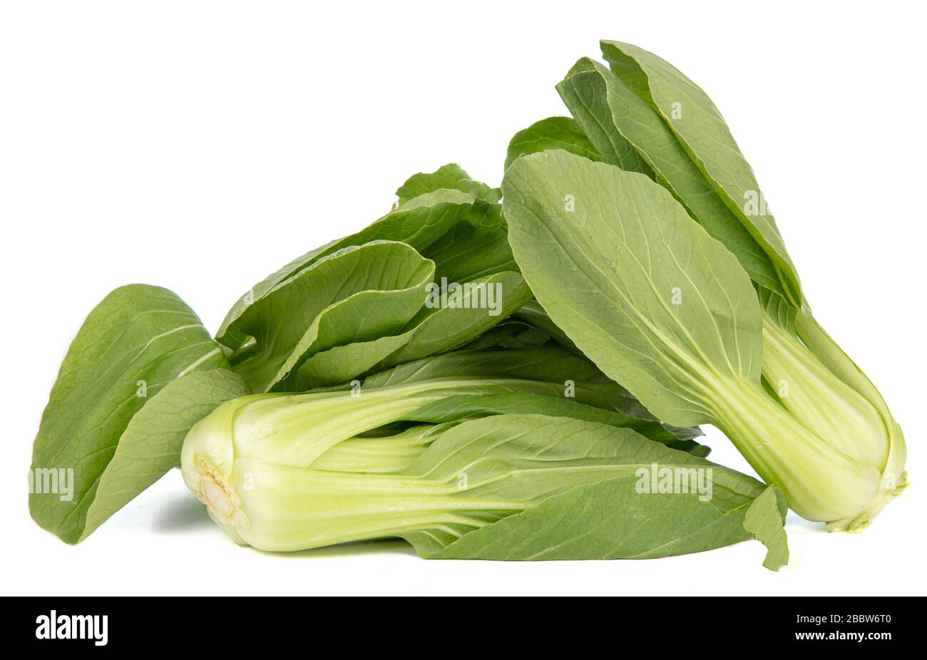 Raw Pak choy cabbage on a withe background Stock Photo - Alamy
